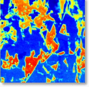 Versatile AFM – Affordable Atomic Force Microscope
